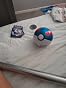 Pokemon Starter Collection 50 Cards including Holos & Rares in Tin ...