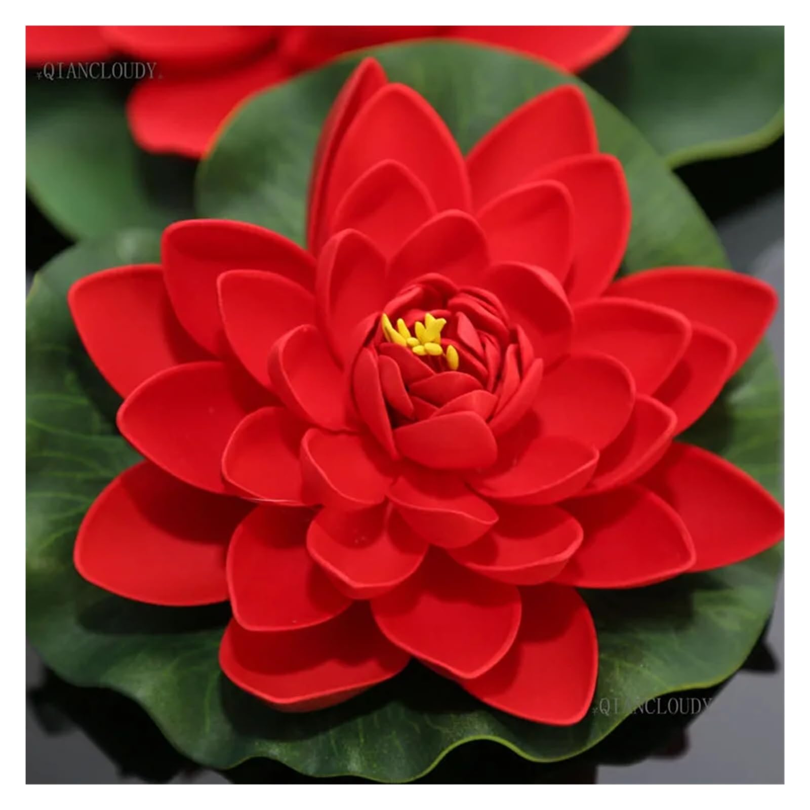 Red Lotus Flower Water A Red Lotus Flower And Green Leaf, Lotus