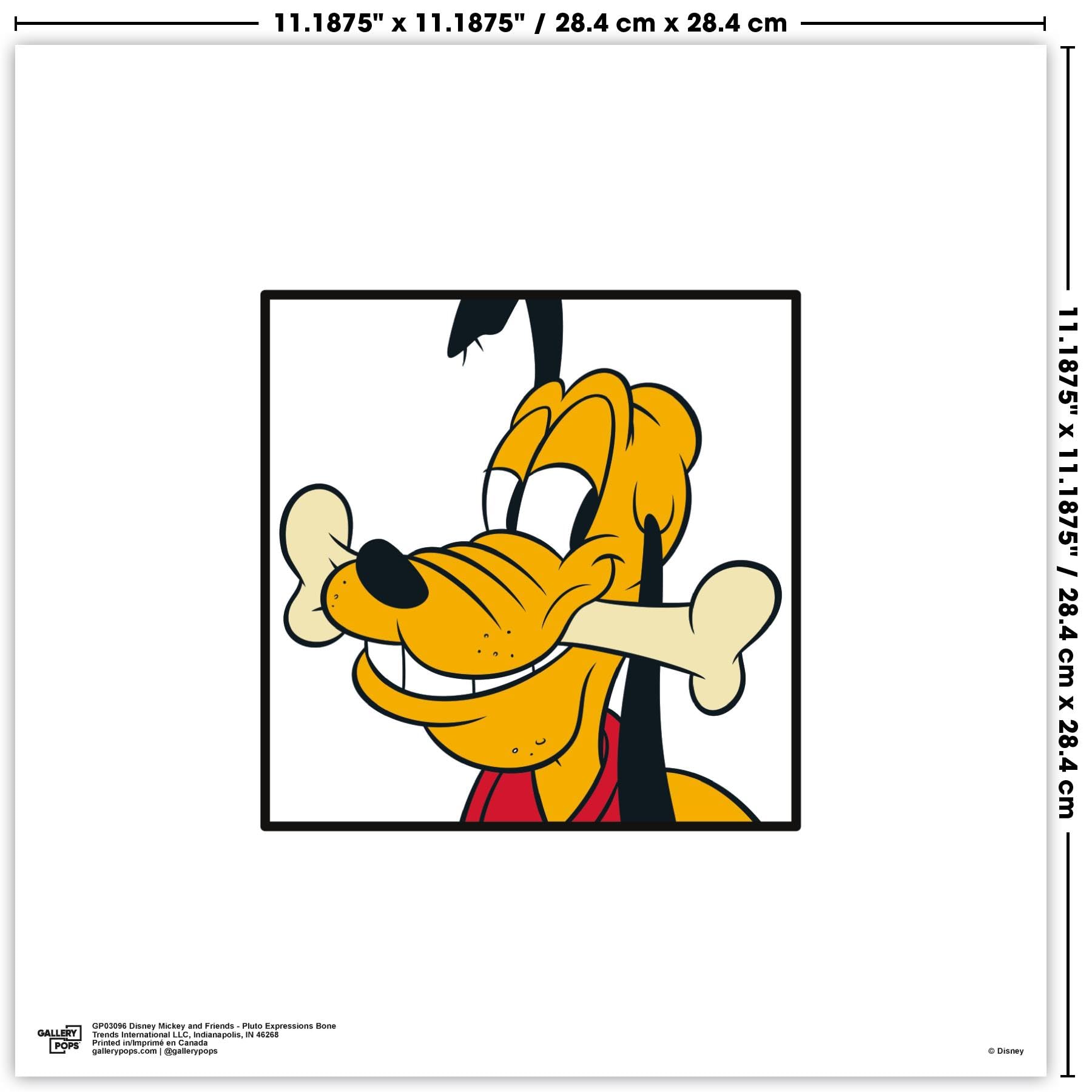 Cara De Pluto De Disney