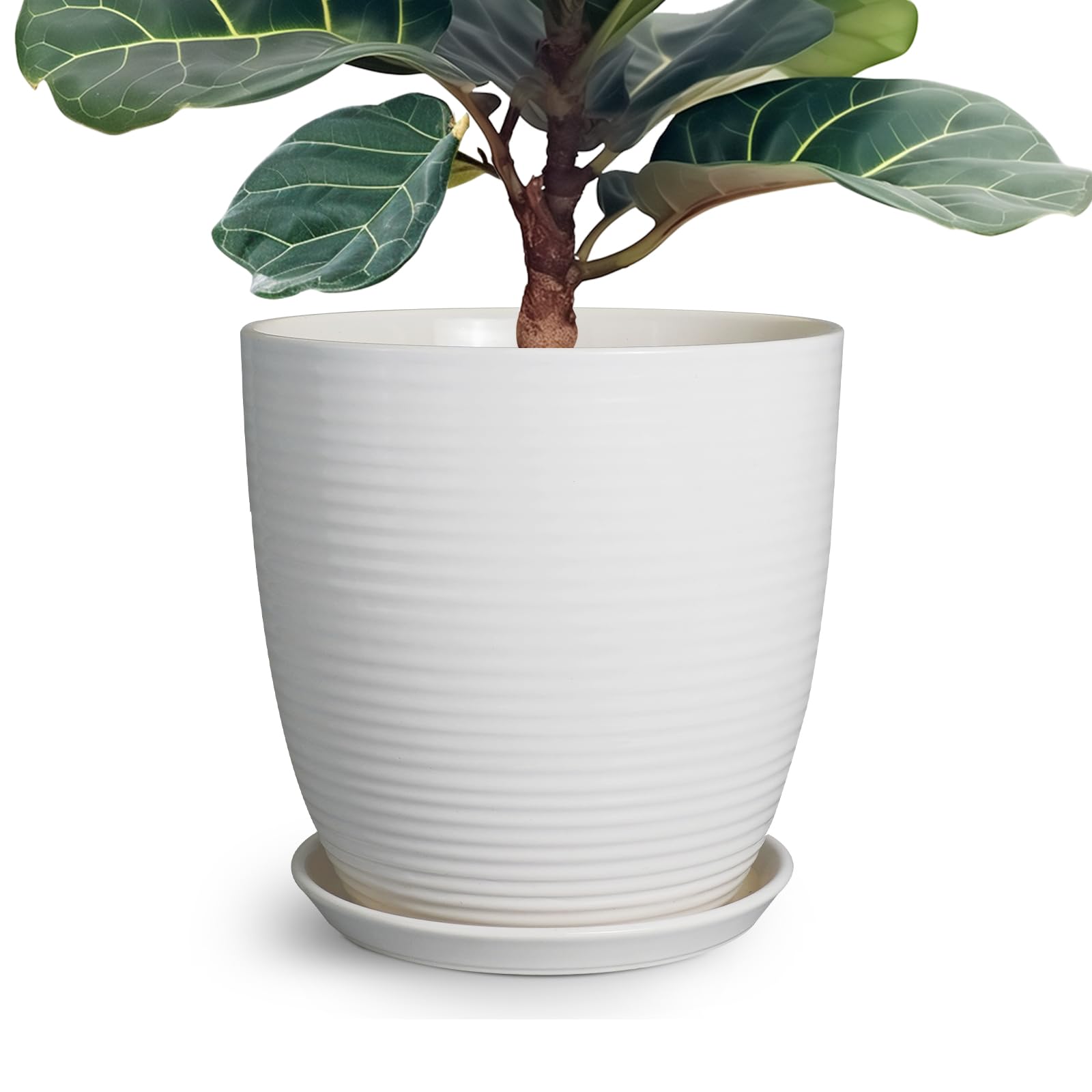 Amazon.com : EPFamily 12 Inch Ceramic Planter Pot, Large Planter Pot ...