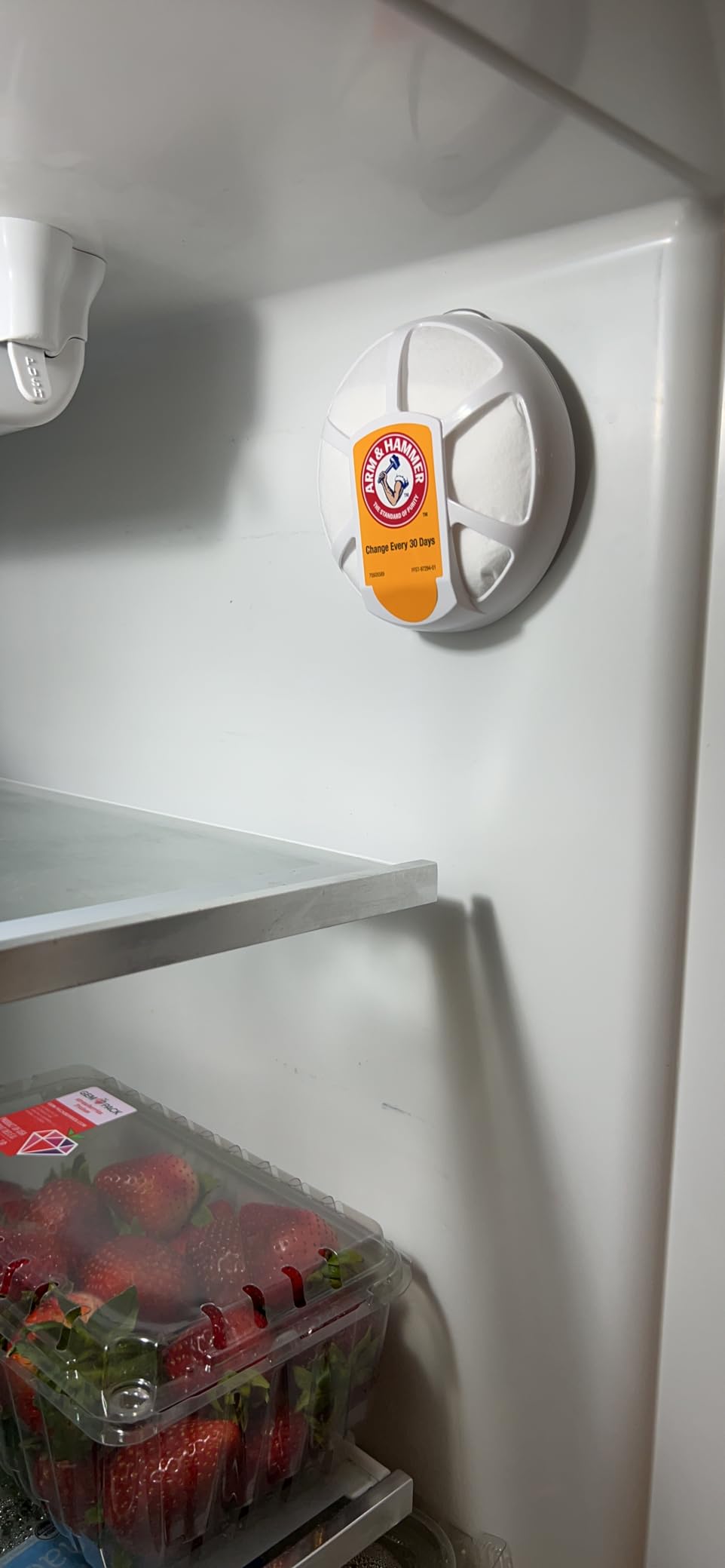 Amazon.com: Arm & Hammer Fridge Fresh Refrigerator, 1 Count (Pack of 2 ...