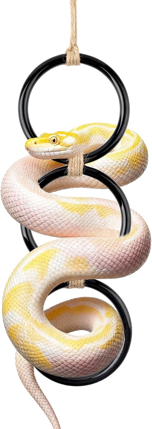 Amazon.com: Snake Climbing Rings for Ball Python- Enclosure Accessories ...