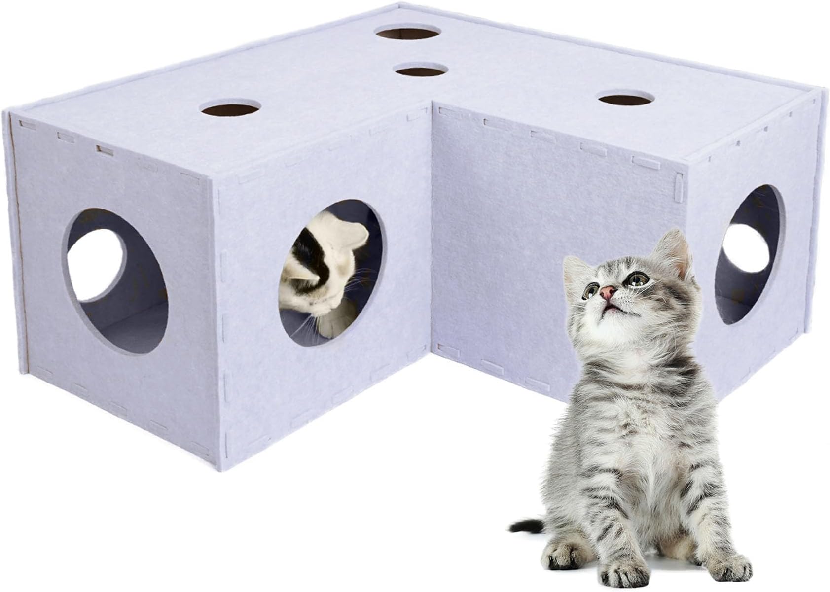 Amazon.com : Miscati DIY Transformable Cat Tunnel - Indoor Cat Condo ...