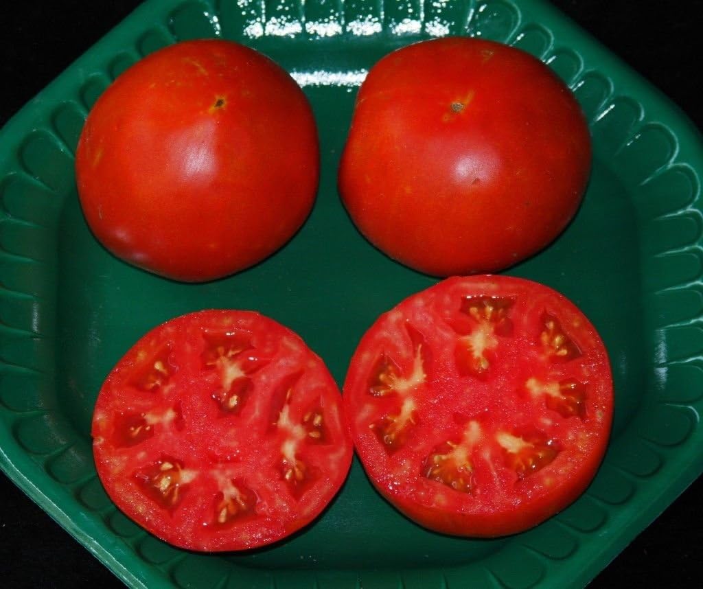 Amazon.com : Bonnie Best Tomato Seed : Patio, Lawn & Garden
