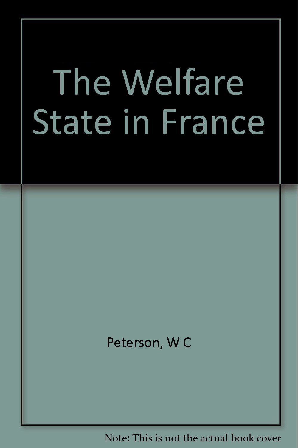 The Welfare State in France: Amazon.co.uk: Peterson, Wallace C: Books