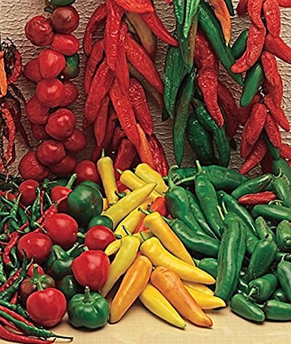 Amazon.com : Mexican HOT Mix Pepper Seeds - A Mixture of 13 Varieties ...
