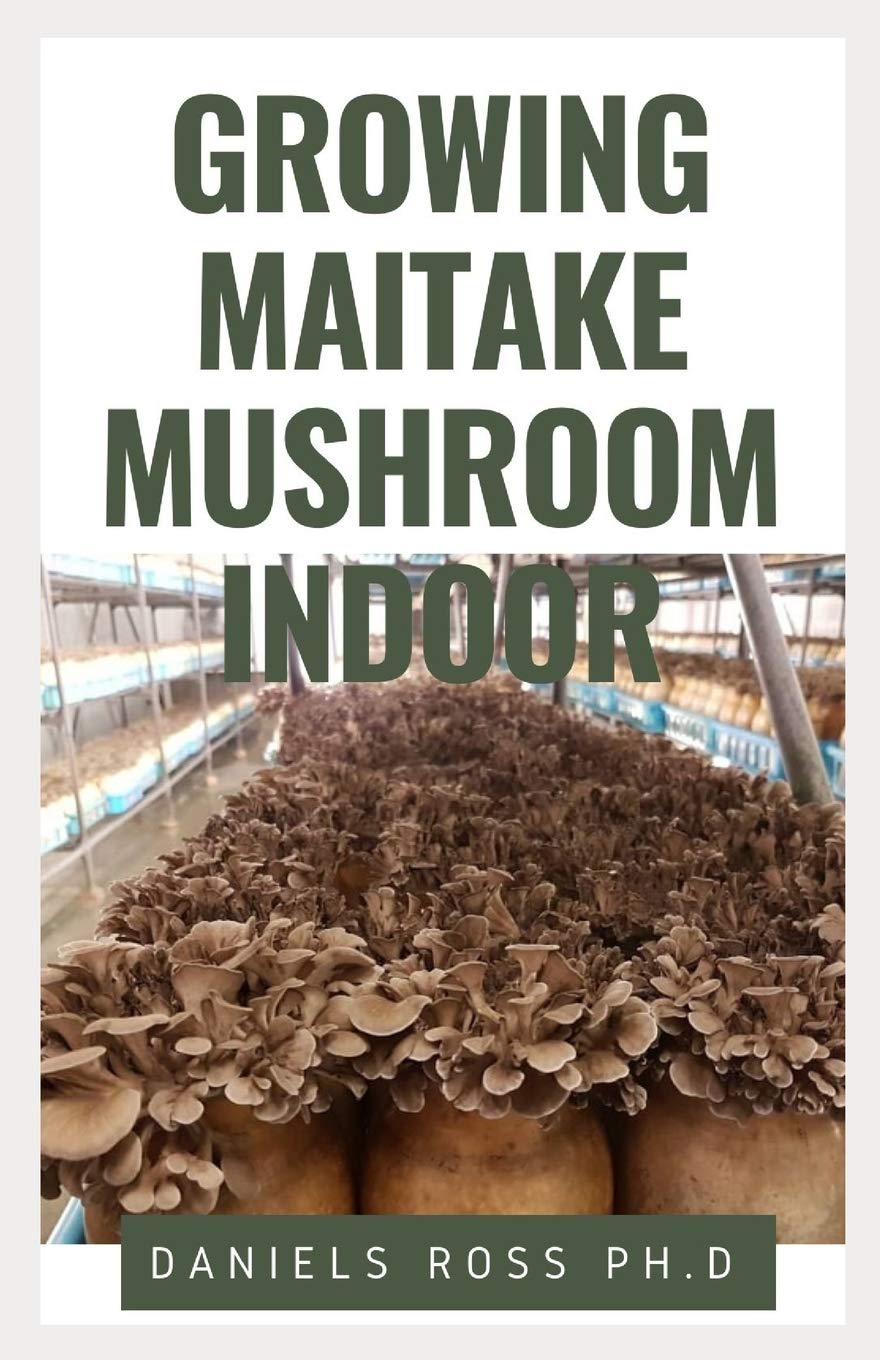 Buy Growing Maitake Mushroom Indoor: Everything You Need to know on ...