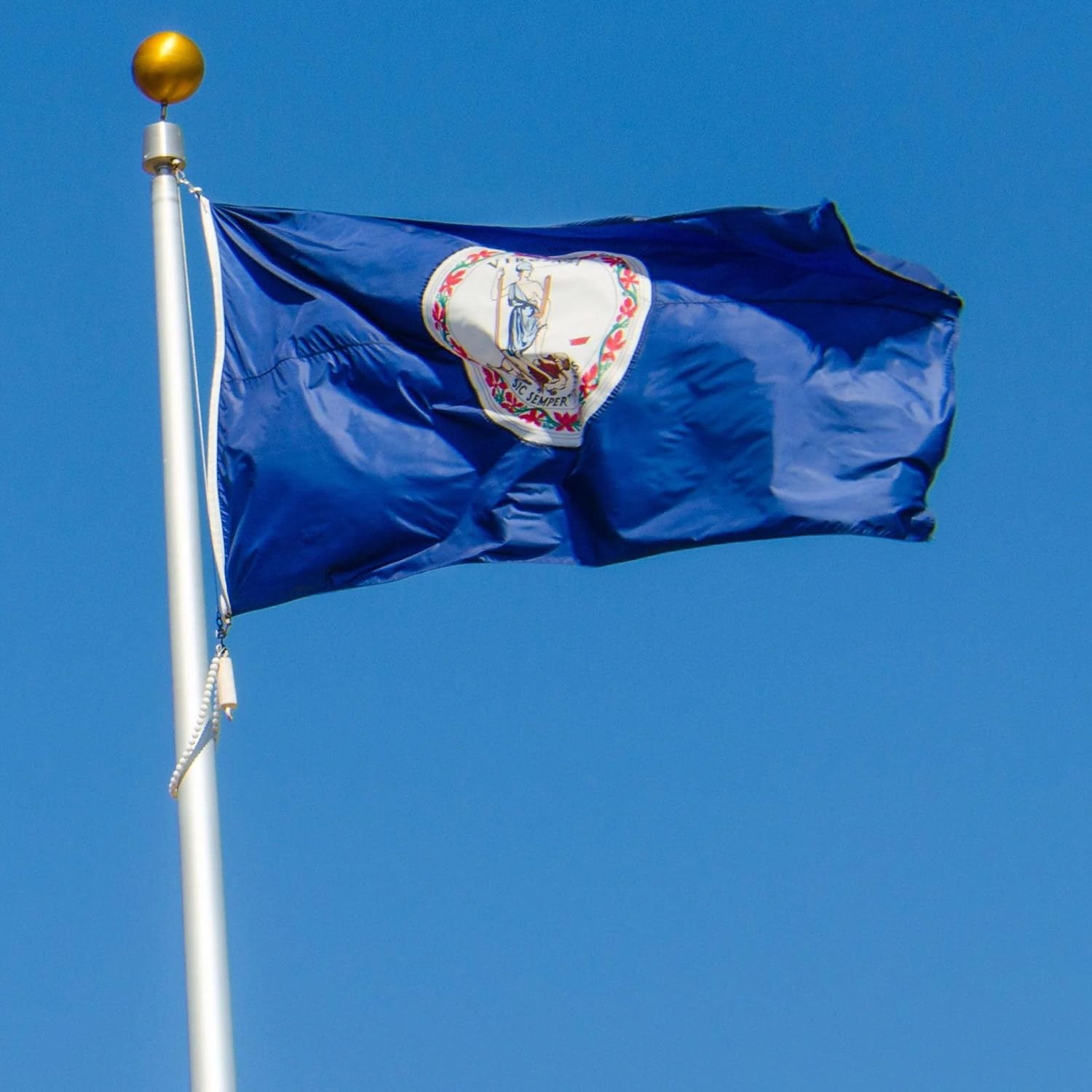 Bandera Del Estado De Virginia Durante La Guerra Civil 140+ Bandera