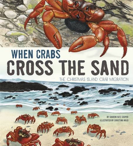 When Crabs Cross the Sand: The Christmas Island Crab Migration ...