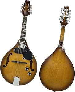 Amazon.com - Mandolin Instrument Electroacoustic Mandolin Stringed ...