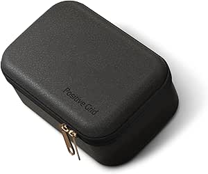 Amazon.com: Positive Grid Spark GO Official Carry Case : Musical ...