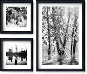 DECOGALERIA - Set 3 Cuadros Decorativos Elegantes | Cuadro Blanco y ...
