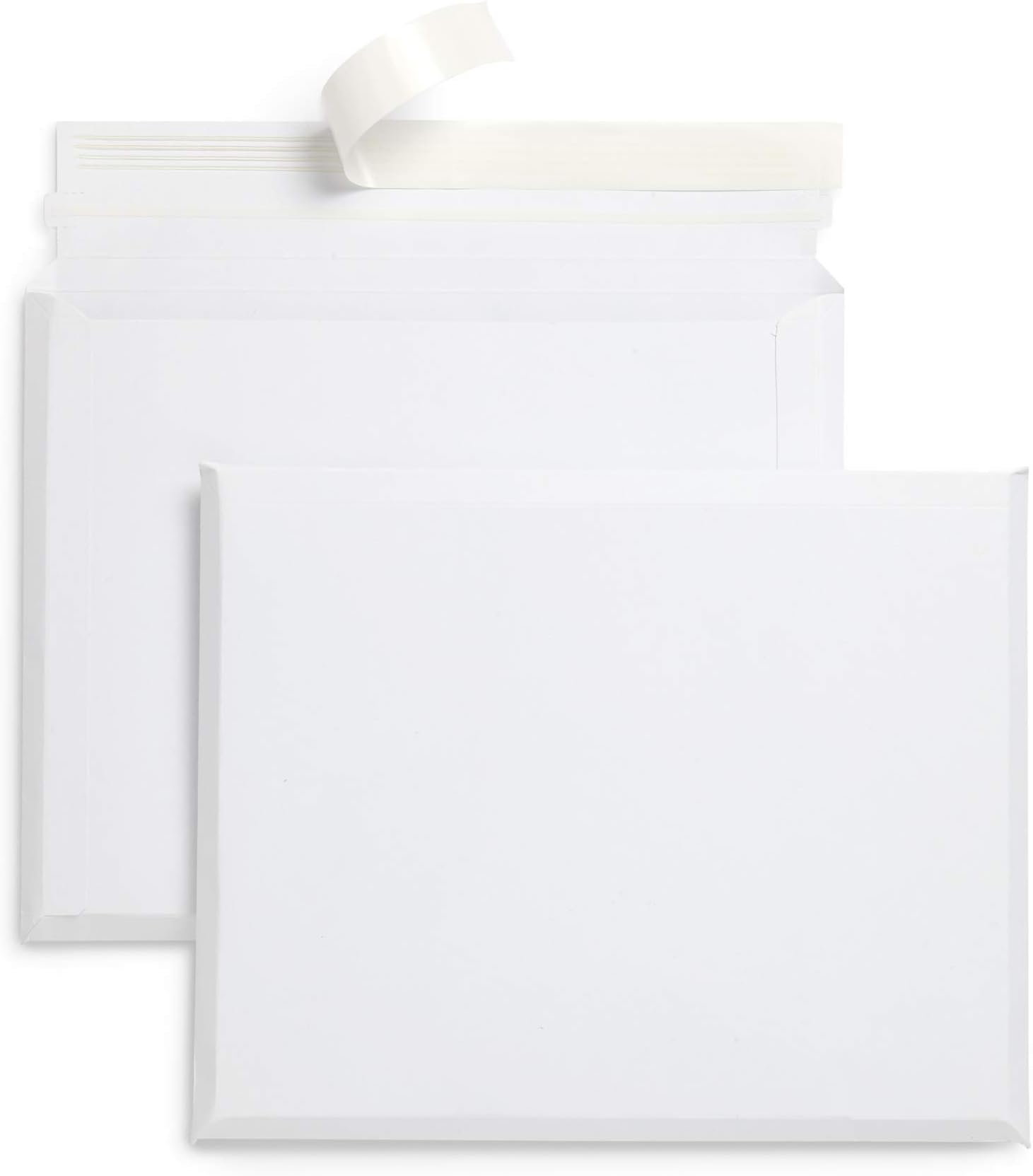 Amazon.com : Blue Summit Supplies 25 Rigid Envelopes, Large Expanding ...
