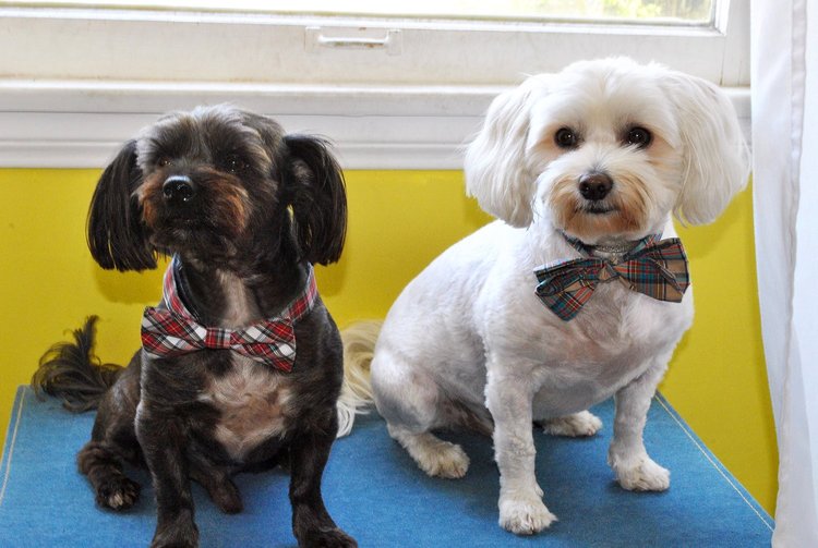 Amazon.com: Mignon R. Moore: books, biography, latest update