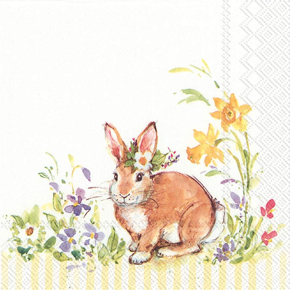 Amazon.com: 20-ct 13x13 Bunny Napkins for Decoupage Cute Bunny Family ...