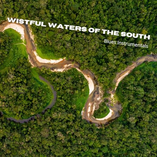 Écouter Wistful Waters of the South par Blues Instrumentals sur Amazon ...