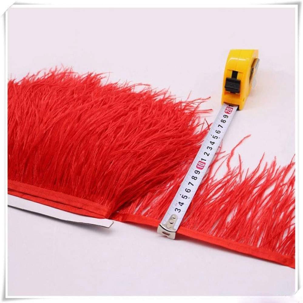 Amazon.com: 1 Metre Ostrich Feather Tassel Strips Fluzzy Feather Ribbon ...