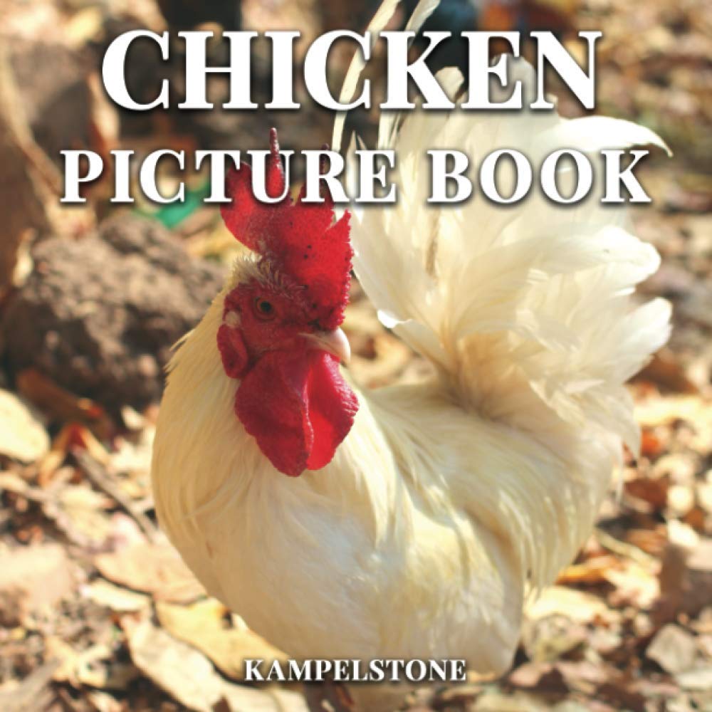 Chicken Picture Book: 100 Sweet Images of Roosters, Chicks and Chickens ...