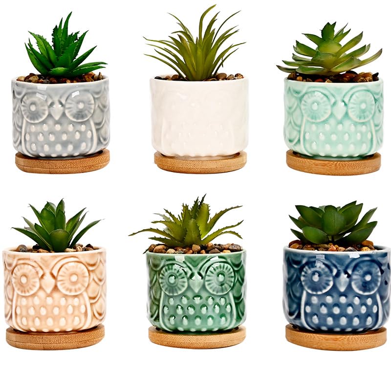 simpa 6PC Decorative Owl Themed Ceramic Plant Pots - Colour Glazed Owl ...