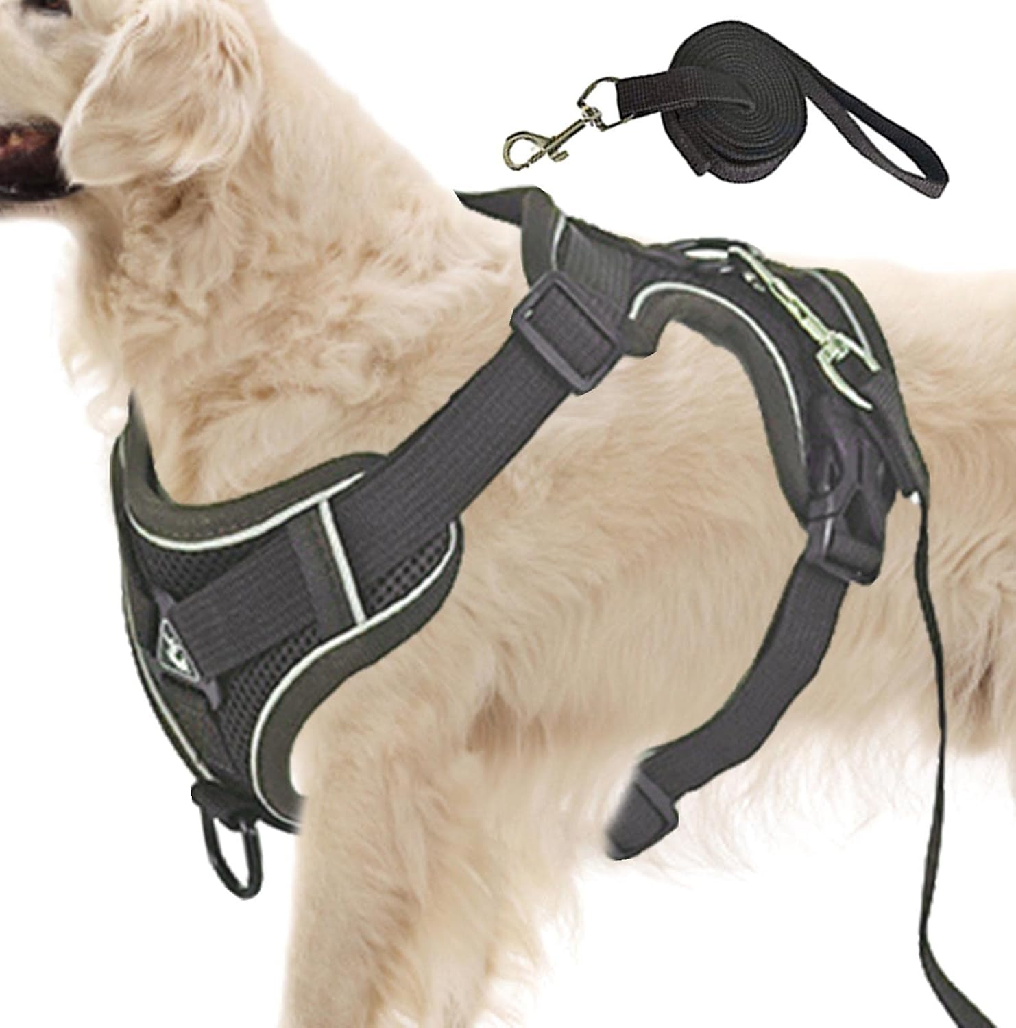 Peitoral para cães de porte médio, peitoral ajustável e coleira ...