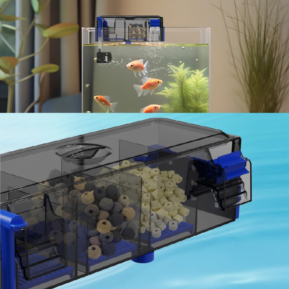 Saltwater Tank Filtration System Custom, LED And Acrylic Saltwater