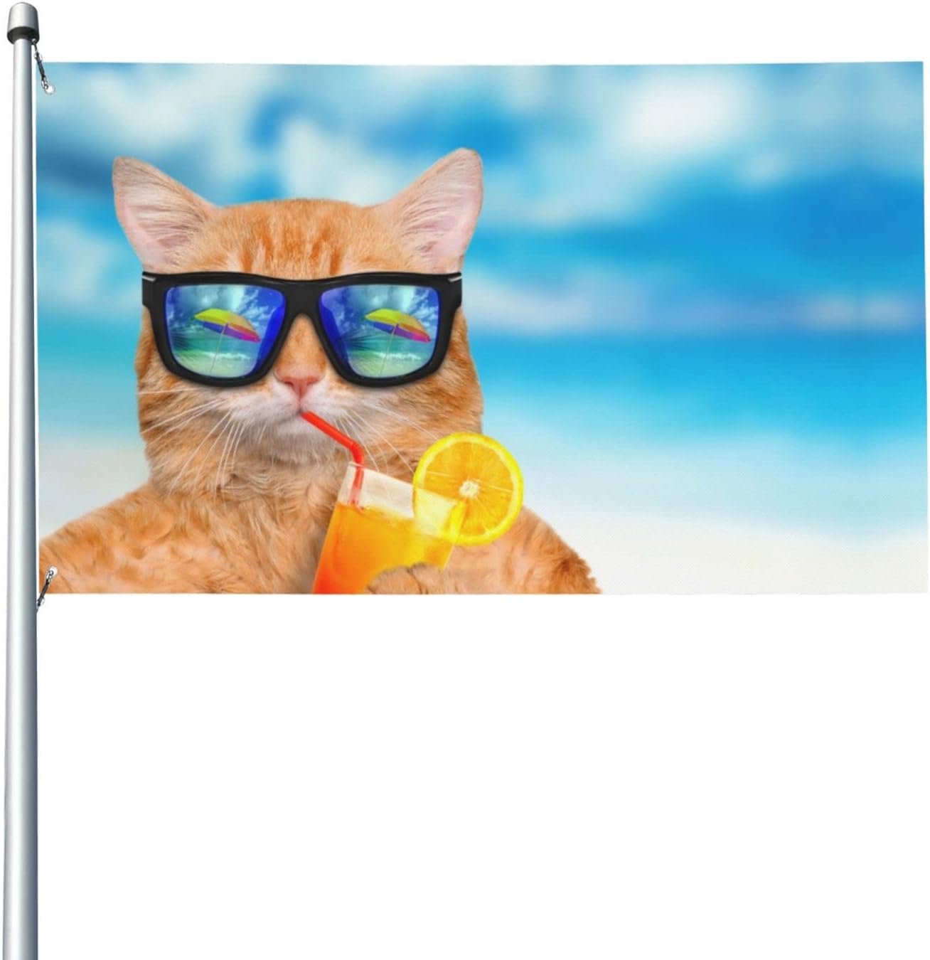 Amazon.com : Outdoor Flags Cat Summer Garden flag Double Sided Yard ...