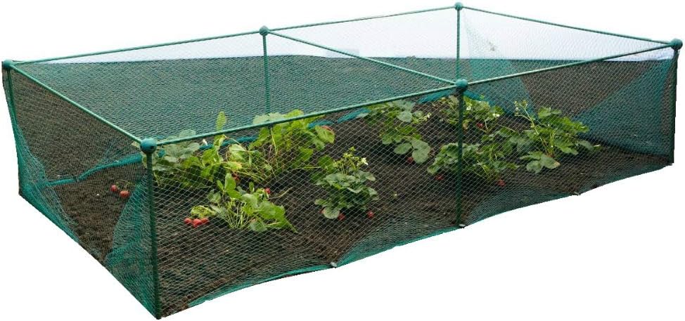 GardenSkill Fruit and Vegetable Garden Cage Kit with Butterfly Netting ...