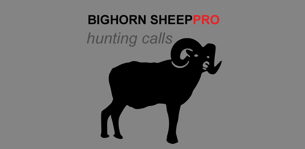 REAL Bighorn Sheep Hunting Calls - 8 Bighorn Sheep CALLS & Bighorn ...