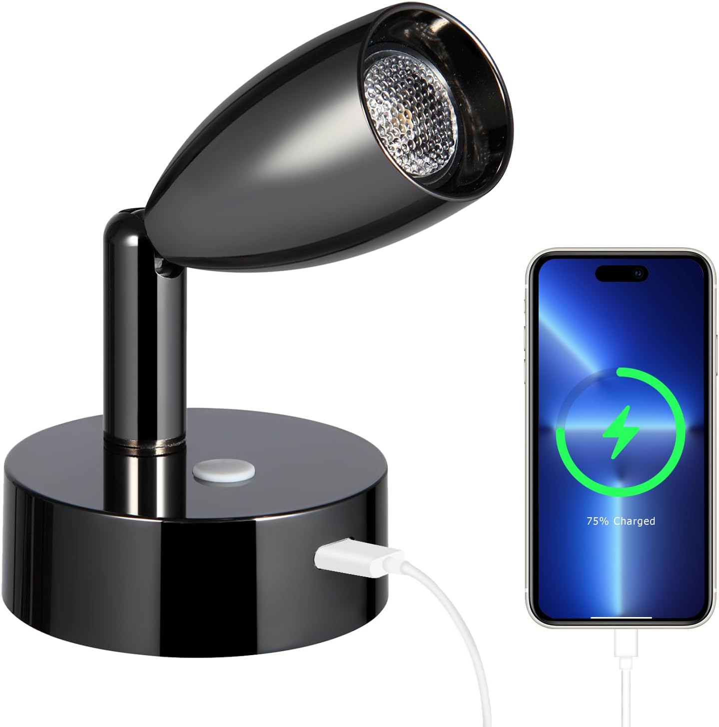 Amazon.com: WisHomee Dimmable RV Reading Light with USB Charging Port ...