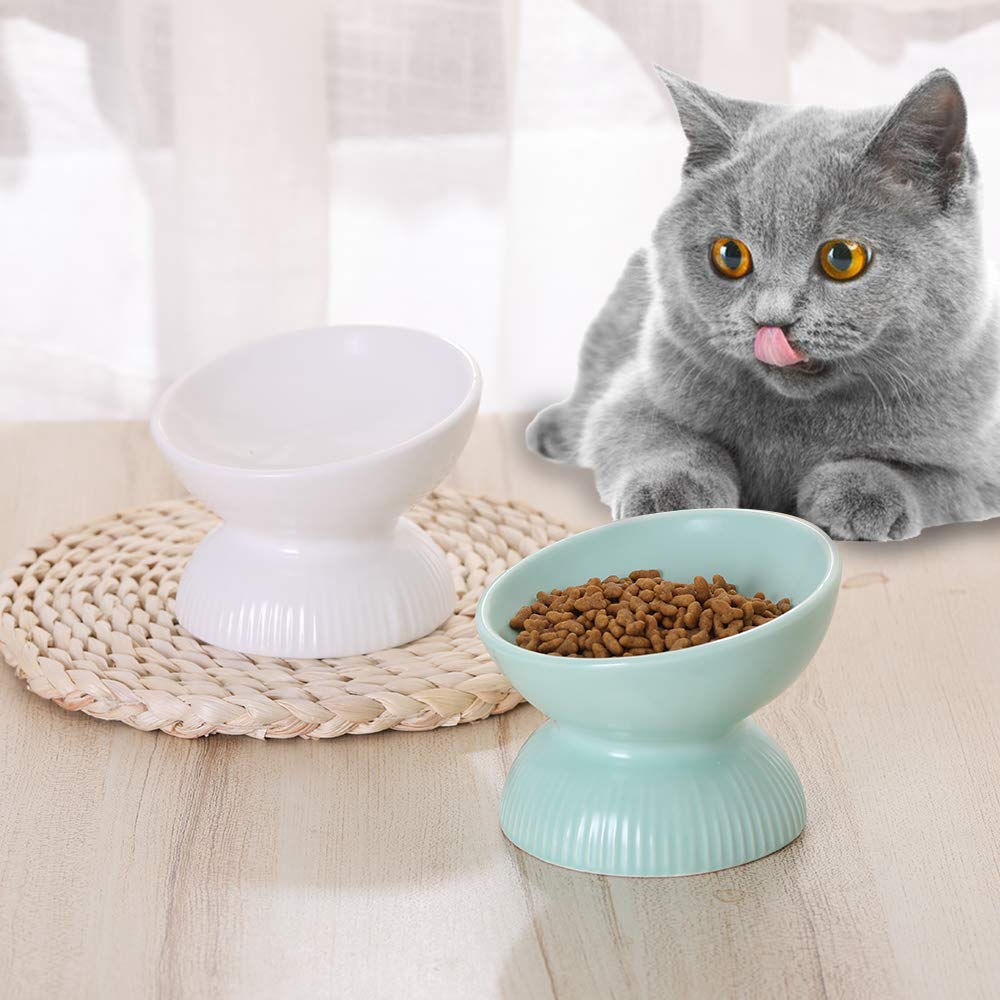 Elevated Raised Cat Dishes Canada At Mary Weber Blog Ceramic Cat Bowls