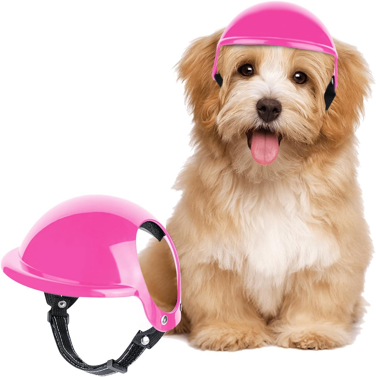 Amazon.com : PETLESO Dog Helmet for Small Dogs, Bicycle & Motorcycle ...