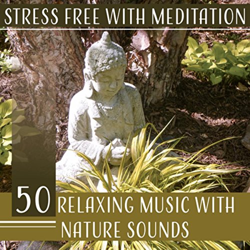 Play Stress Free with Meditation: 50 Relaxing Music with Nature Sounds ...
