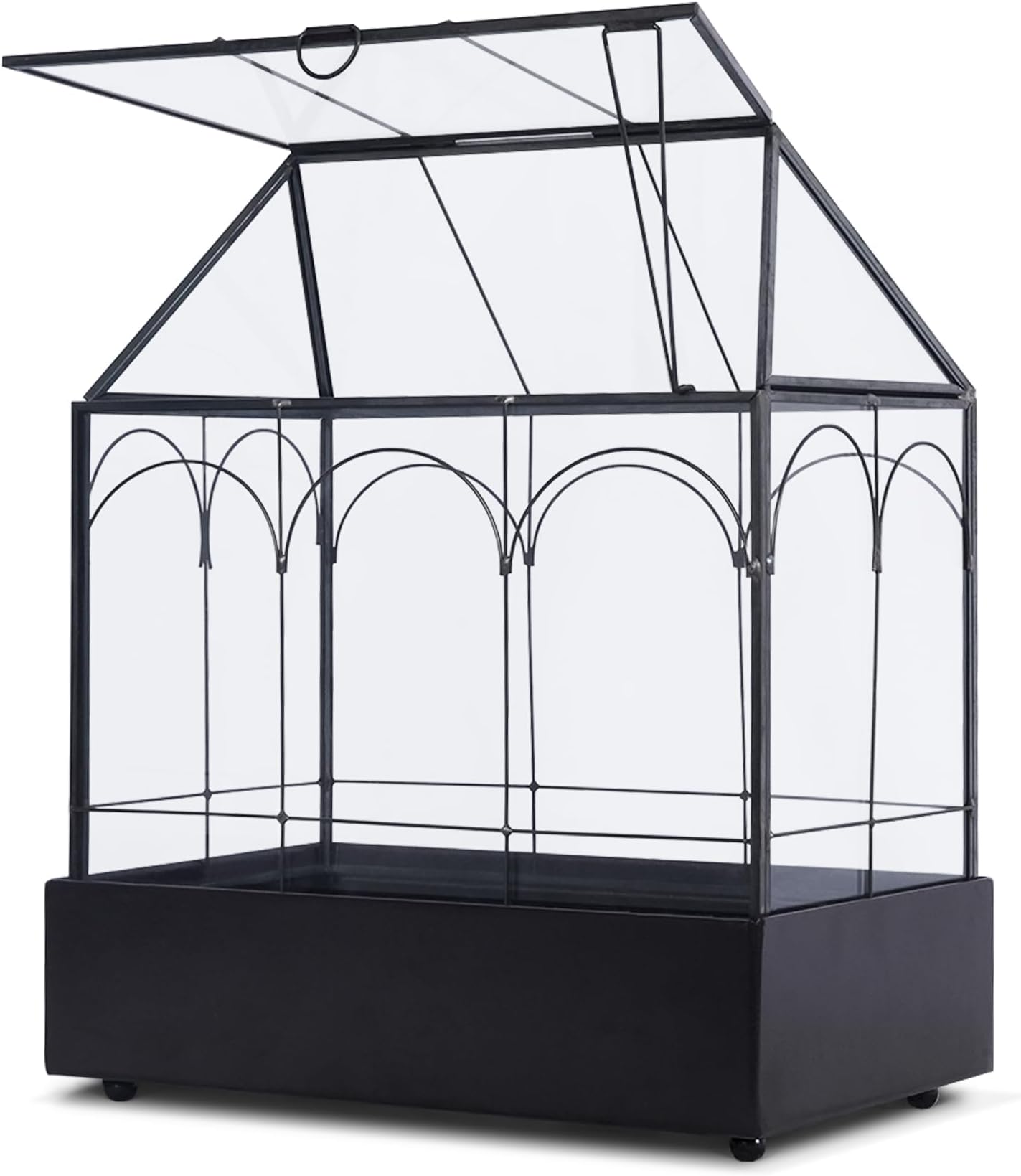 Amazon.com: Large Tall Plant Greenhouse Terrarium Glass with Lid, 8.7 ...
