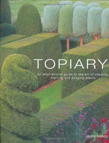 Topiary: Amazon.co.uk: Hendy, Jenny, Wooster, Steven: 9781903141274: Books