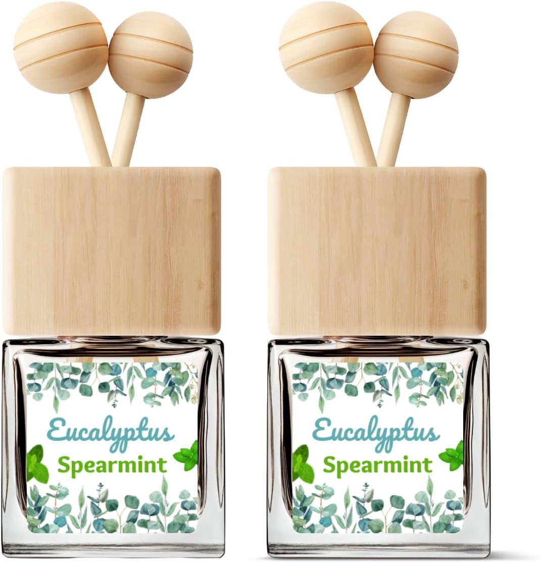 Amazon.com: CE Craft Eucalyptus & Mint Car Air Hanging Fragrance Oil ...