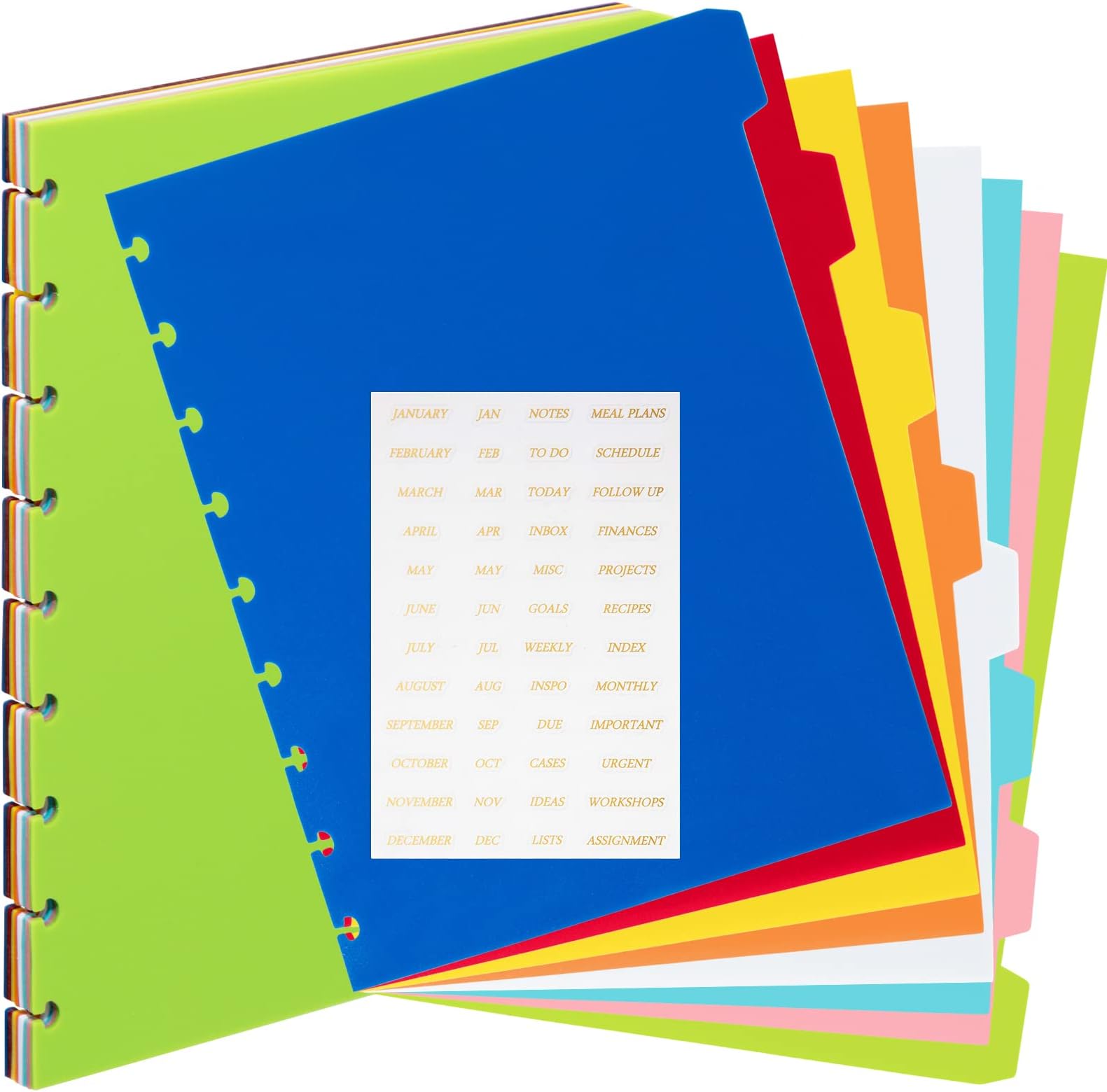 Amazon.com : Outus 24 Pcs 7 x 9.25 Inches 9 Discbound Dividers ...