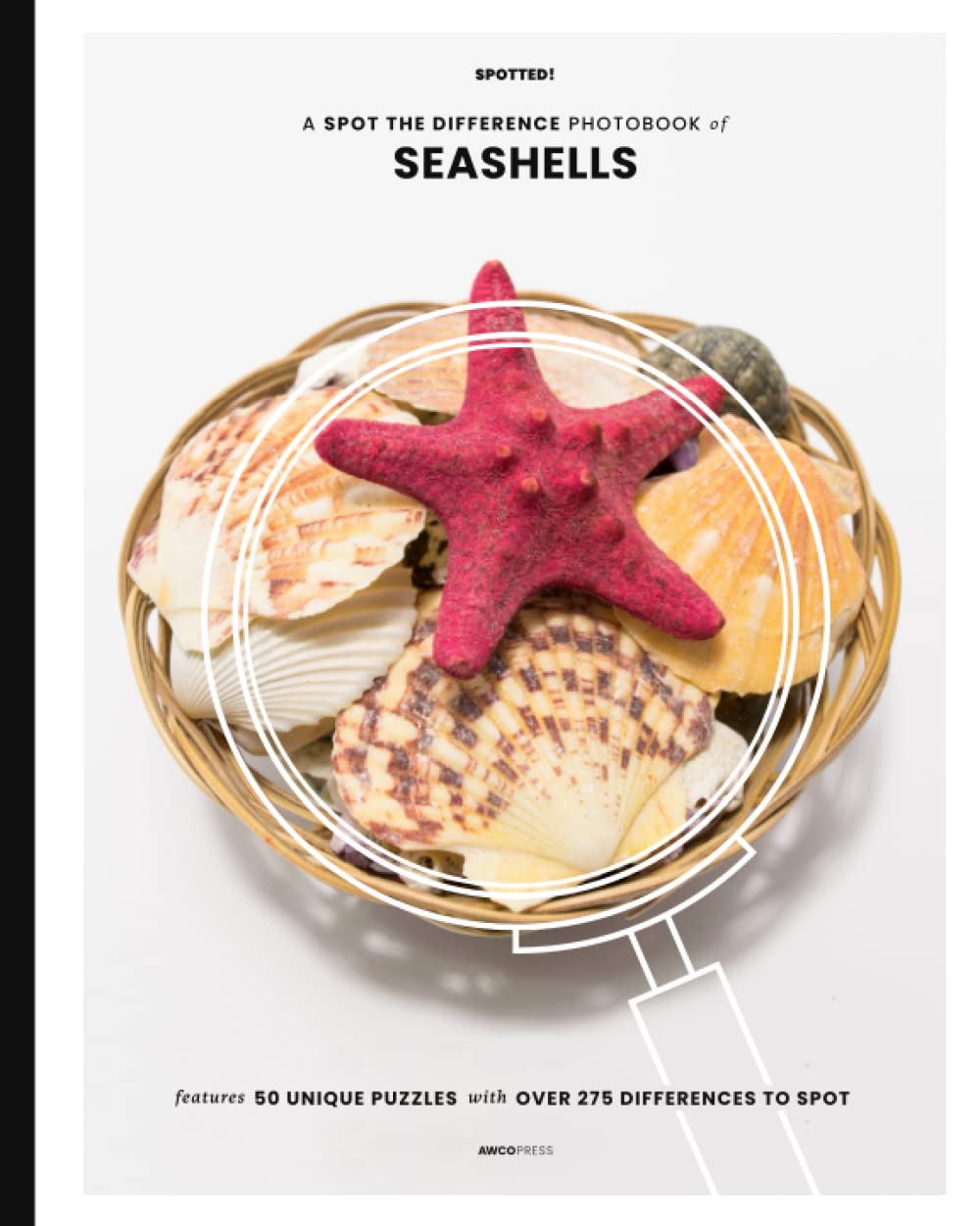 Amazon.com: A Spot the Difference Photobook of Seashells: 9781958665398 ...