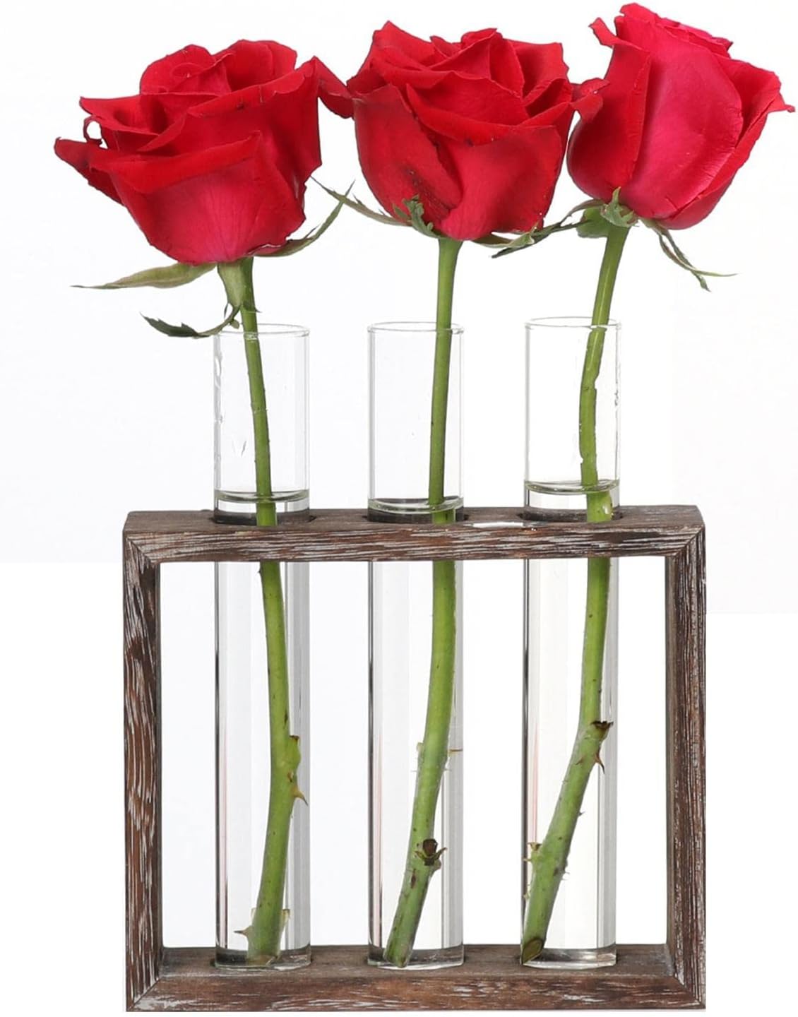 YOUGE Plant Propagation Station - Propogation Planters Test Tube Flower ...