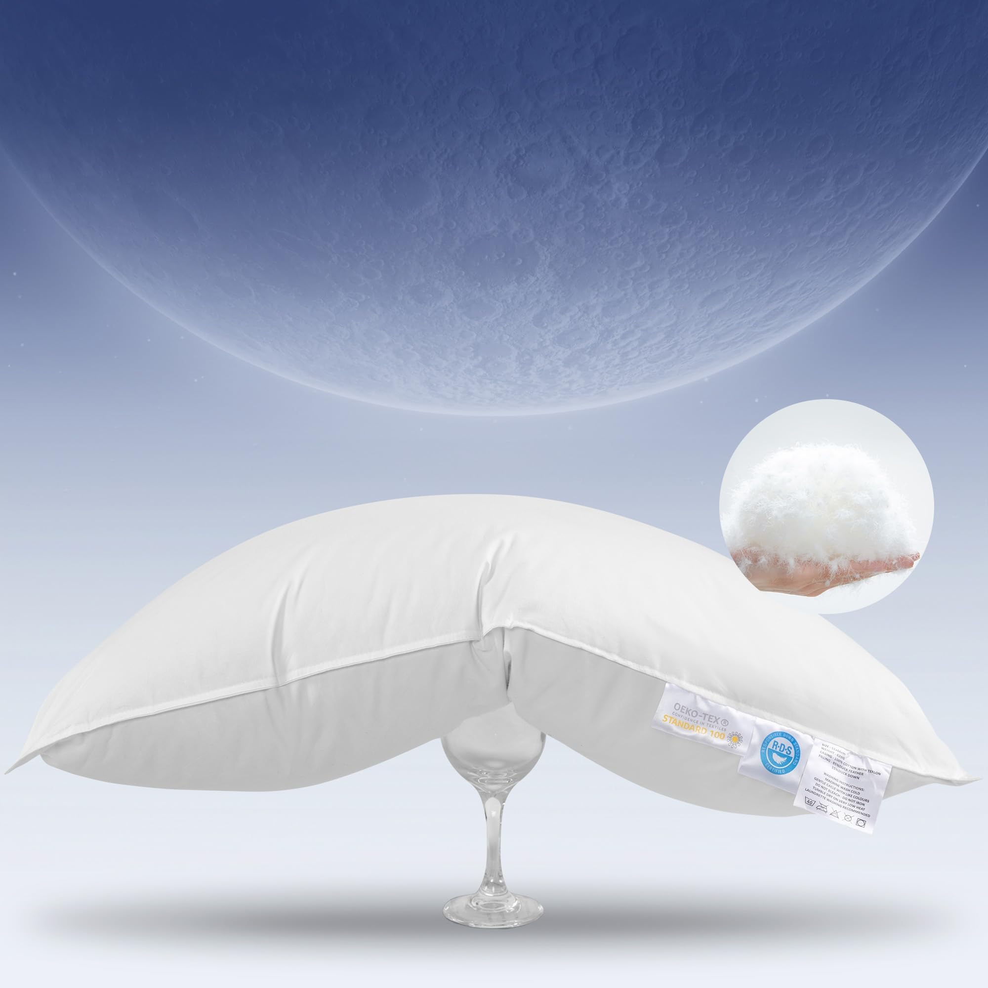 Amazon.com: Baauye Luxury Canadian White Goose Down Pillow Queen Size ...