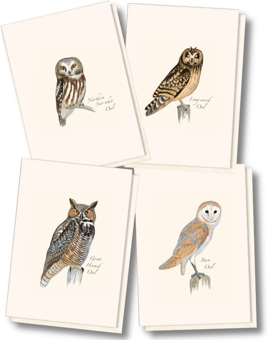 Amazon.com : Small World Greetings Owl Notecards with Identification on ...