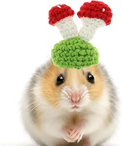 Amazon.com: Mini Hand Knitted Hats, 1PCS Hamster Hats with Adjustable ...