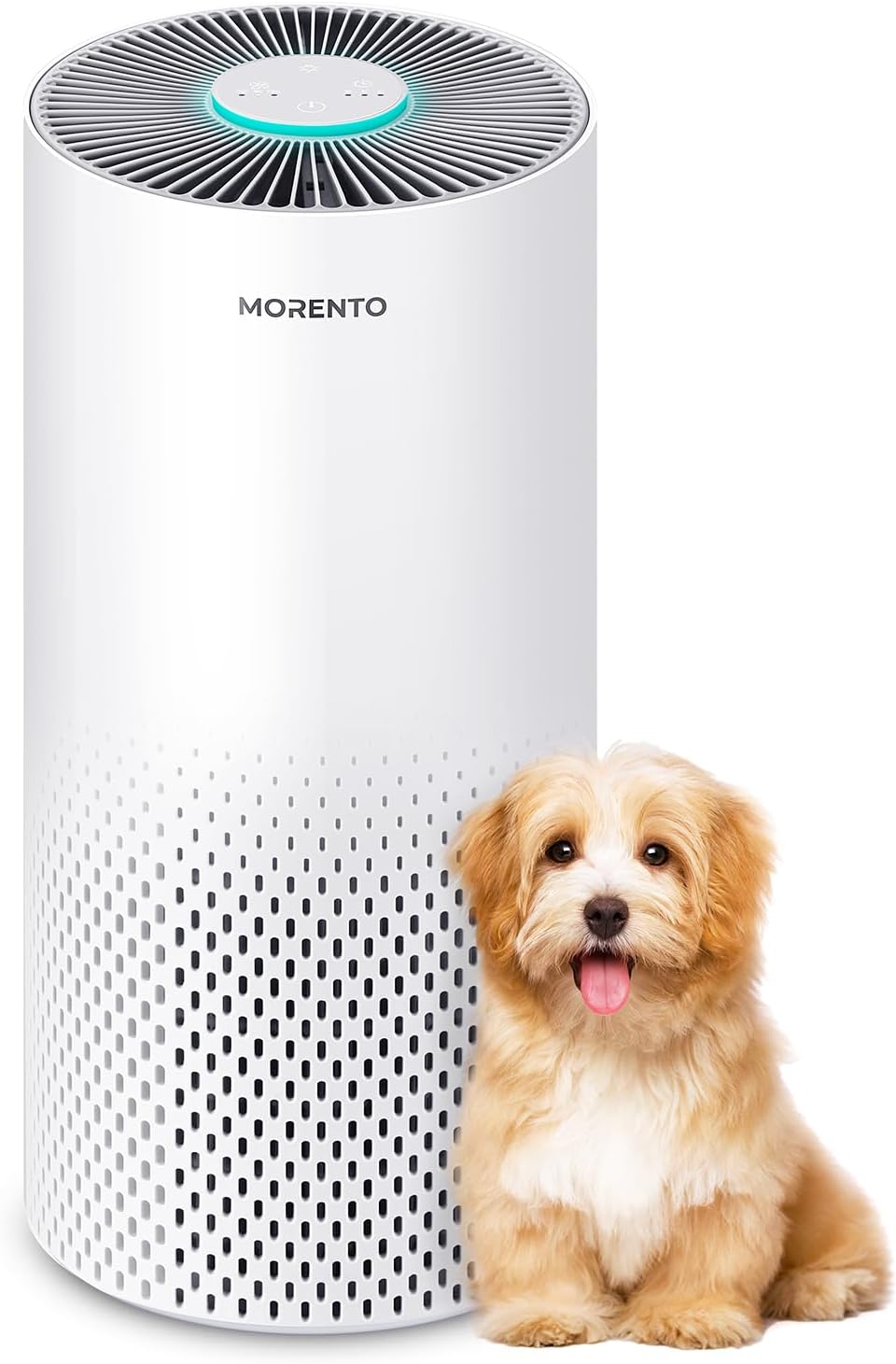 Amazon.com: BLUEAIR Mini Air Purifier For Bedroom, Small Room Air ...