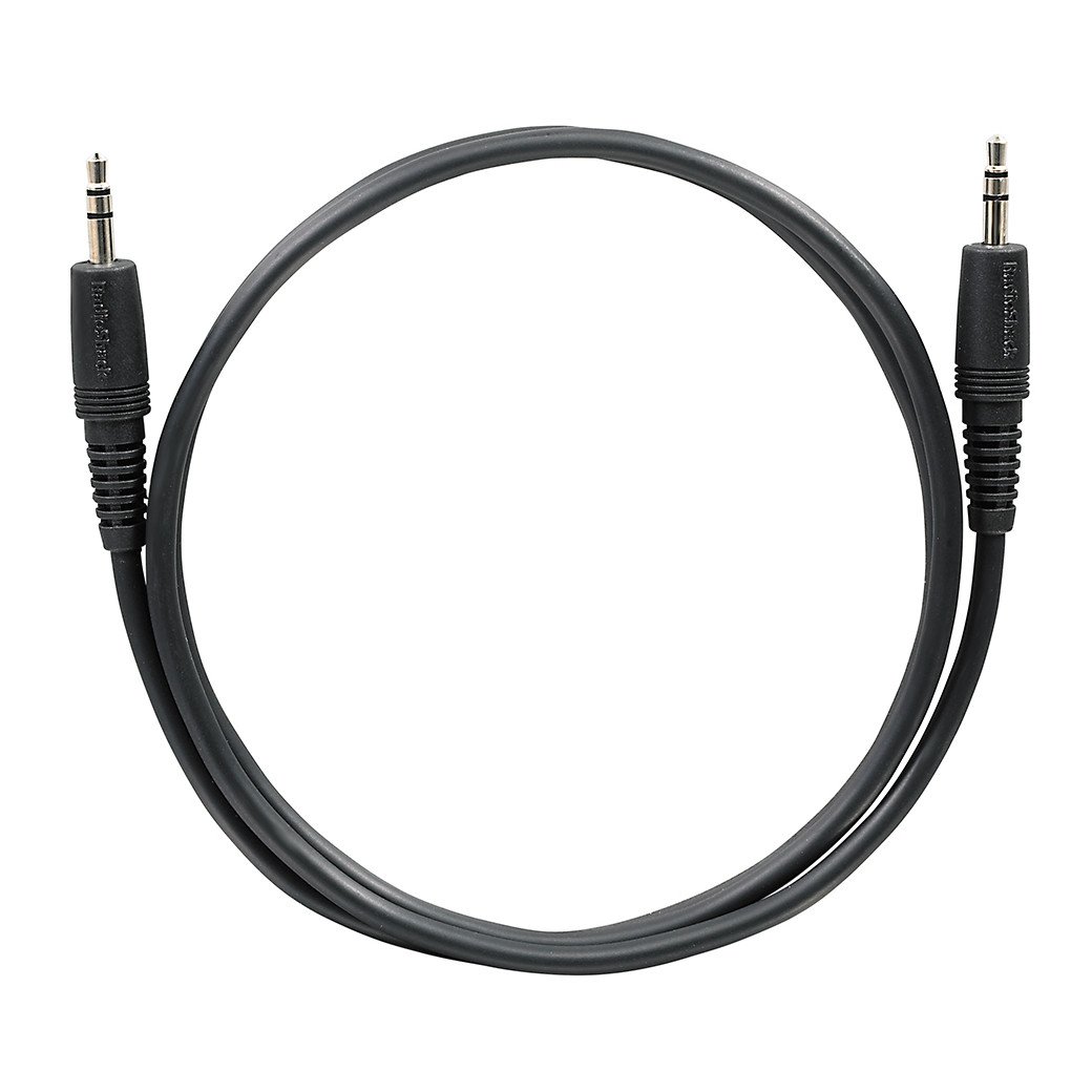 RadioShack 3-Foot 1/8" Stereo Plug Cable : Amazon.in: Electronics