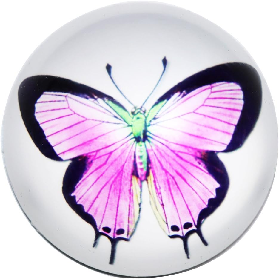Amazon.com: Waltz&F Crystal butterfly Paperweight Galss Globe ...