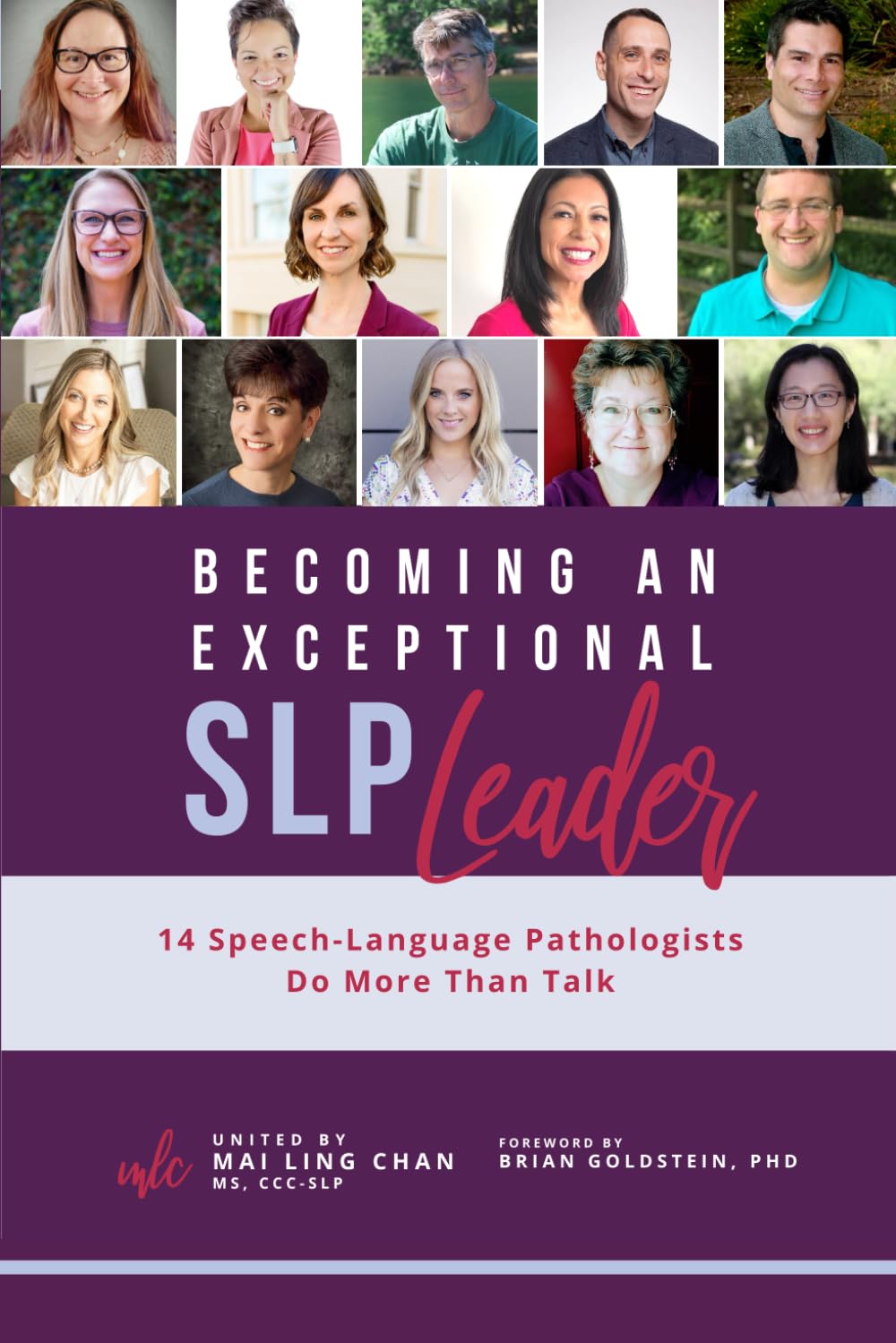 Becoming an Exceptional SLP Leader: 14 Speech-Language Pathologists Do ...