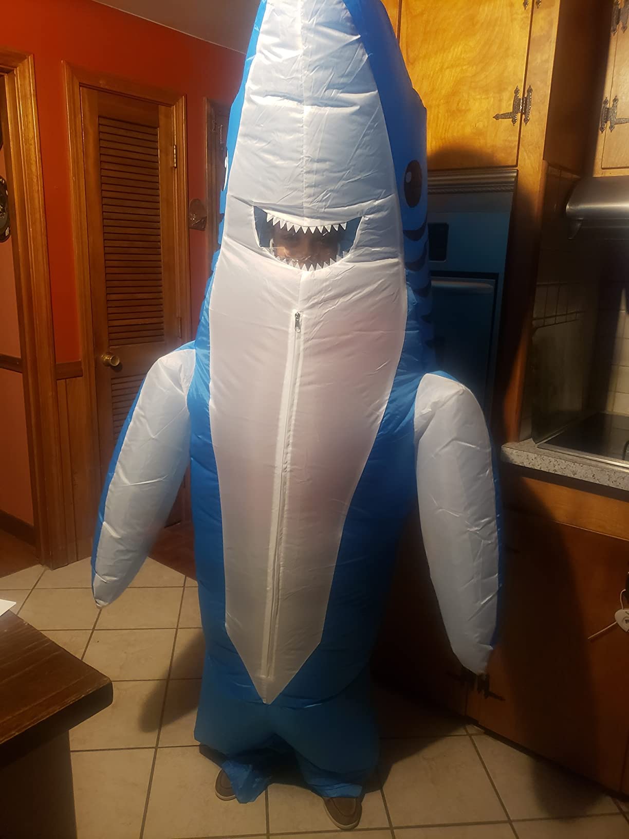 Traje de tiburón IRETG para d...B07N2M5HZ2 | Encarguelo.com