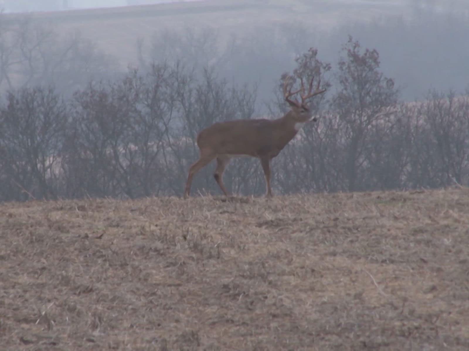 Watch Red Rising TV - Season 7 | Prime Video