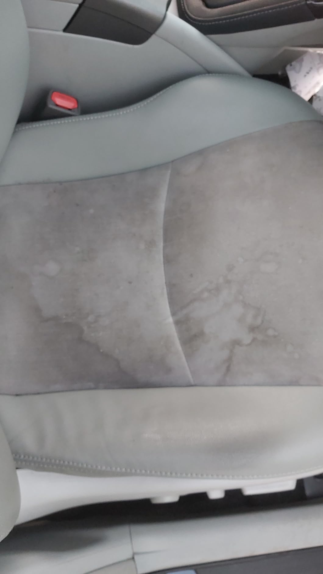 Kogan StainClean Carpet and Upholstery Spot Cleaner - KAVACCPT05A ...