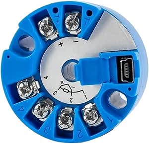 Amazon.com: SHIHUANI Integrated RTD pt100 Temperature Transmitter ...