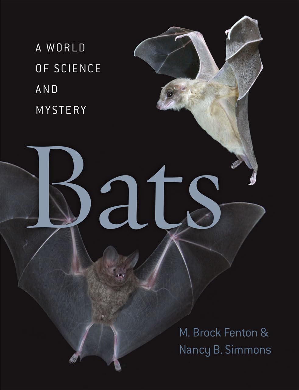 Amazon.com: Bats: A World of Science and Mystery: 9780226065120: Fenton ...